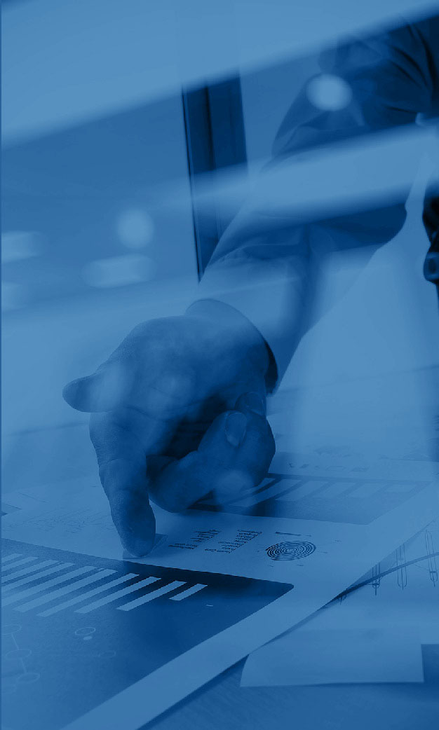 Litigation Advisory - Hannis T. Bourgeois